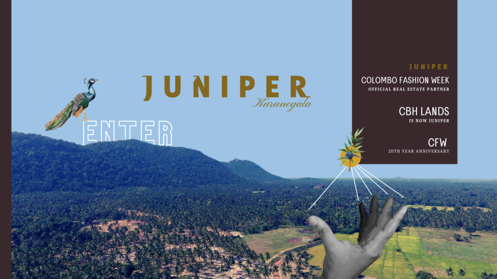 Juniper Group