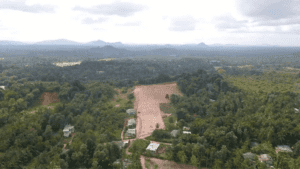 Gallery – Juniper Group