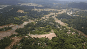 Gallery – Juniper Group