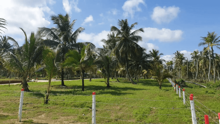 Gallery – Juniper Group
