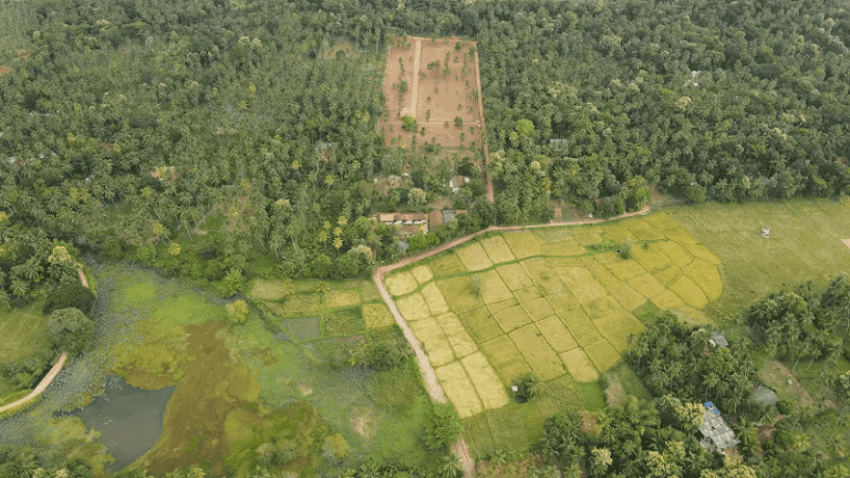 Gallery – Juniper Group