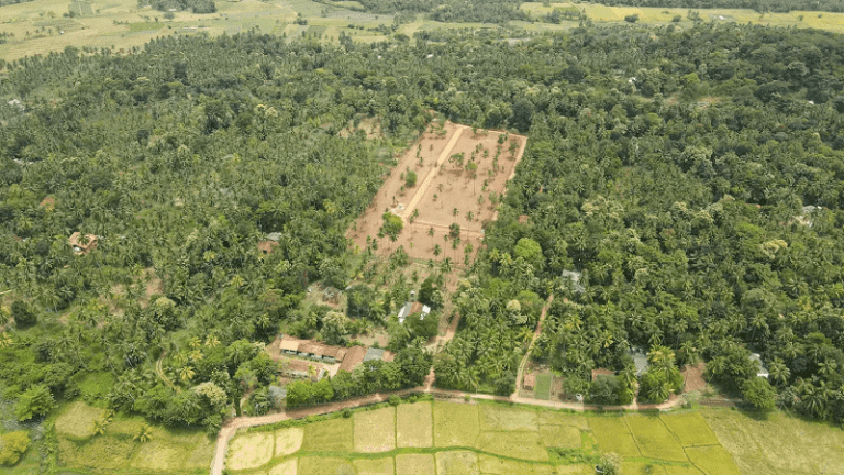 Gallery – Juniper Group