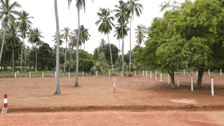 Gallery – Juniper Group