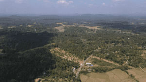 Gallery – Juniper Group