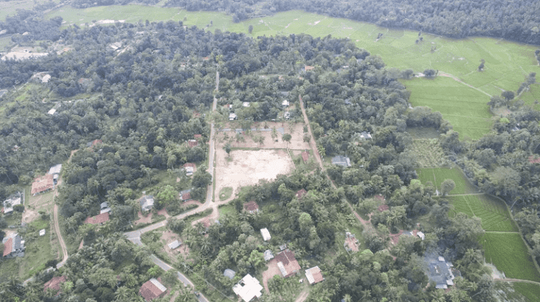 Gallery – Juniper Group